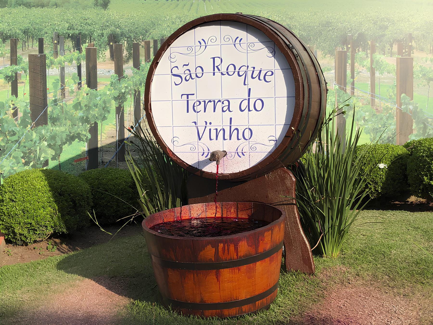 12 Melhores Vinhos De São Roque Em 2024 - Melhor De CasaMelhor de Casa